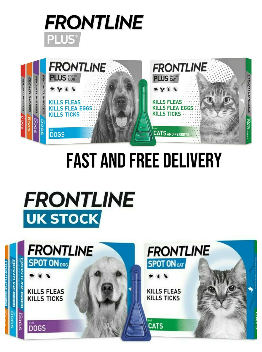 FRONTLINE Plus Flea & Tick Treatment for Small Dogs (2-10 kg) - 6 ...