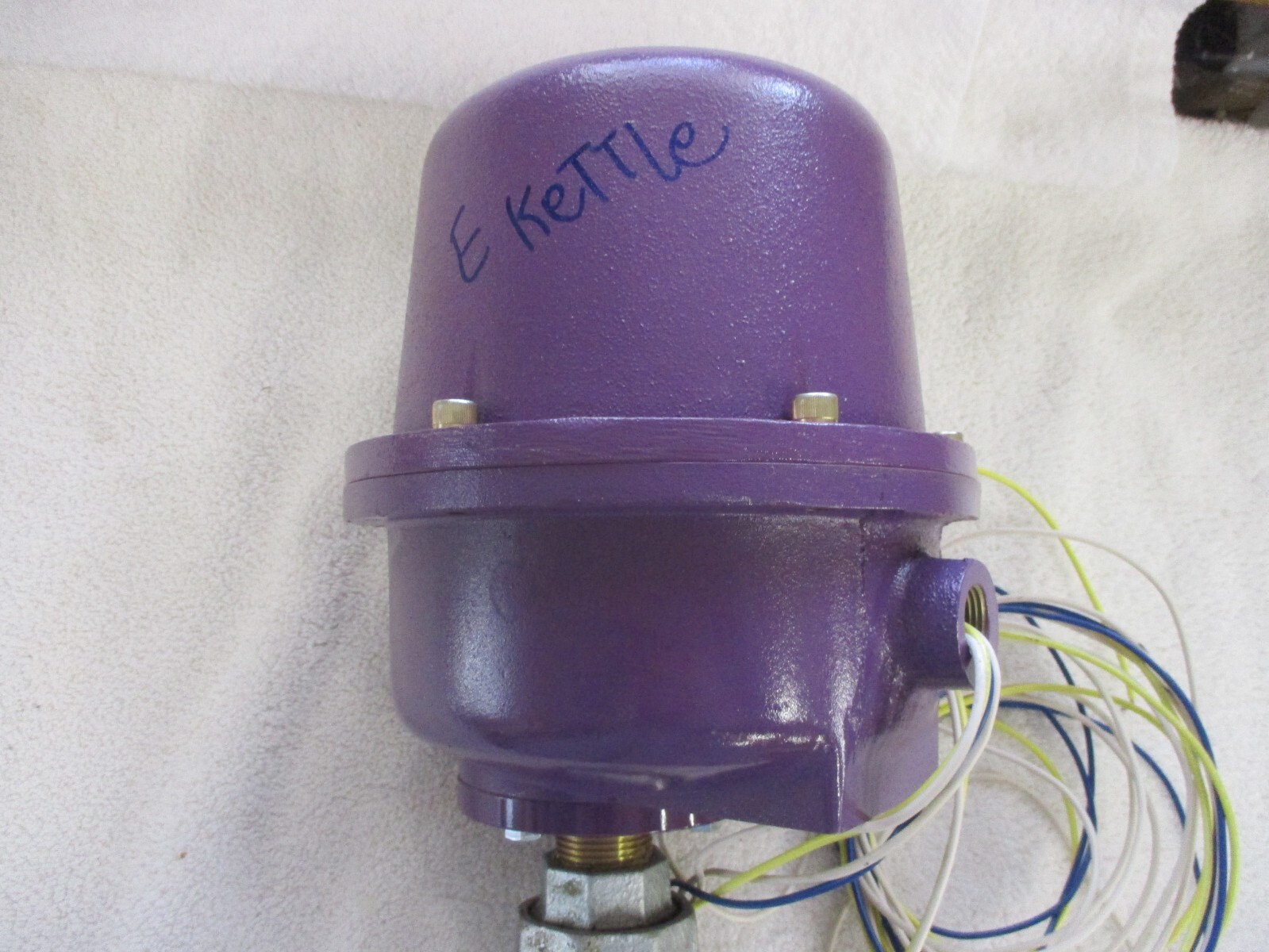 NEW HONEYWELL Explosion Proof Flame Detector Purple Peeper 120V ...