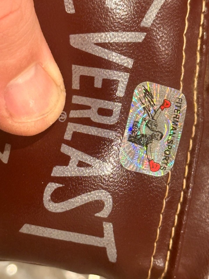 Mike Tyson Signed Jack Dempsey 1707 everlast gloves with fiterman ...