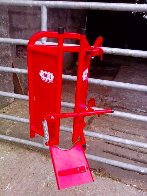 Calf & Sheep Staller, Calf crush, Headlock, Crate, De-budding. Sheep ...