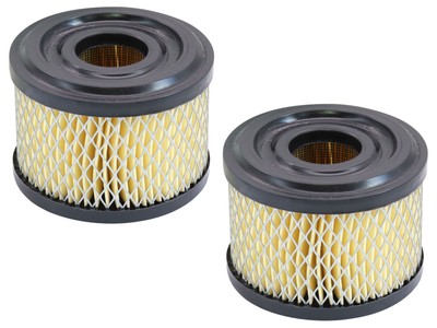 2x Filter Filterset (71x95x35) passend für Briggs & Stratton 170434 ...