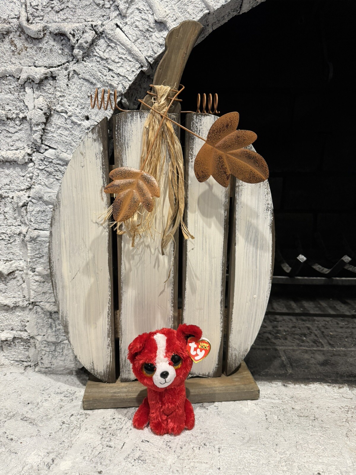 Ty Beanie Boo " Tomato" The Gift Show Exclusives, 6" MWMTs Red Dog | eBay