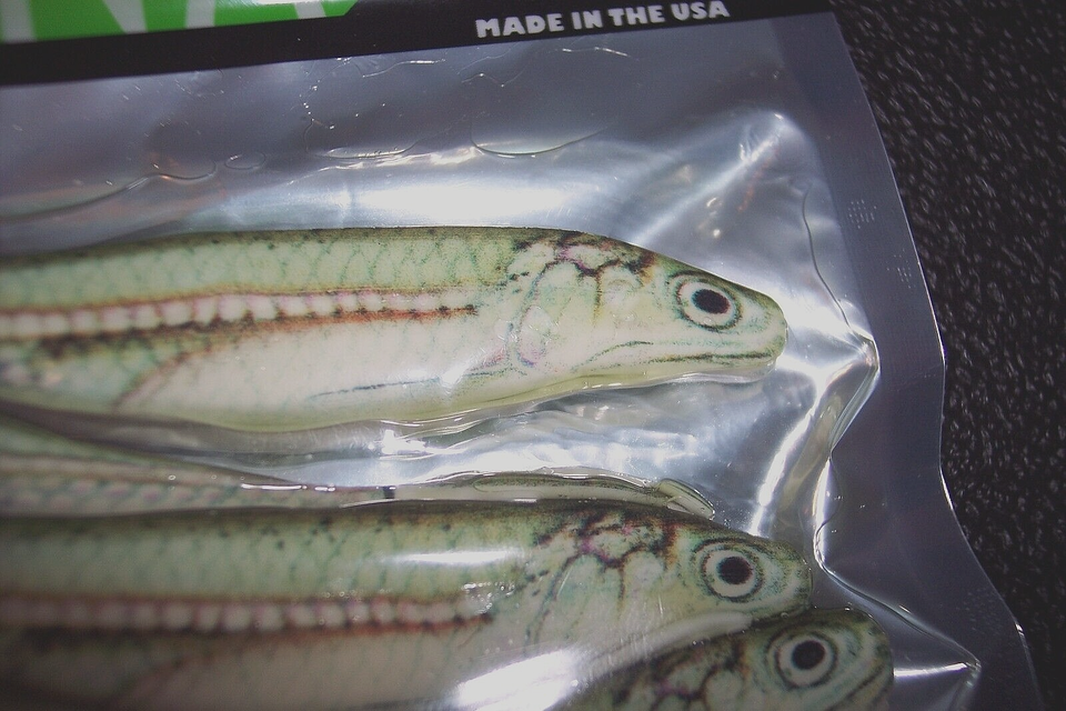 Bio Bait Anchovy Bait Fishing Lures 5" Switchback Bay Anchovy Halibut ...