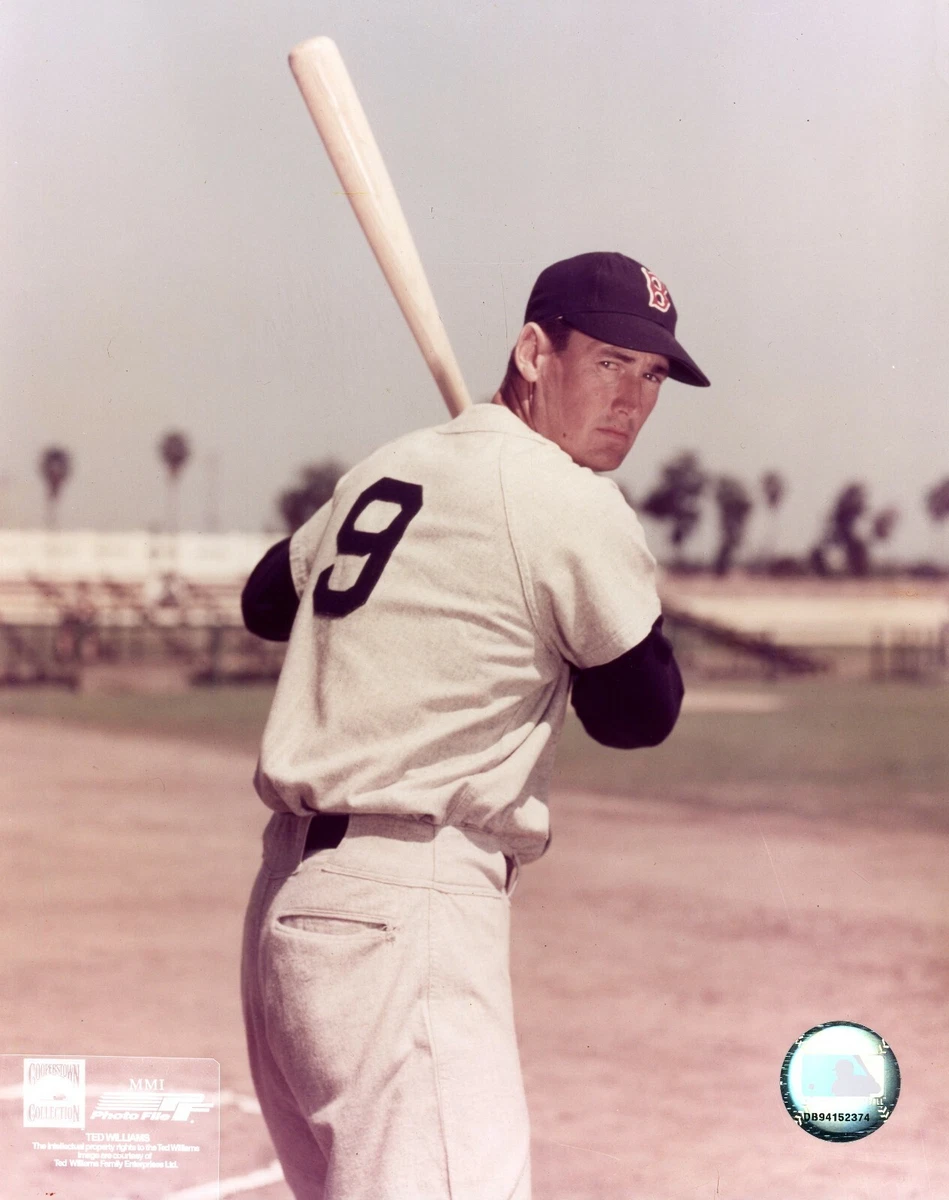 Ted Williams Batting Stance