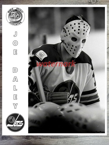 WHA 1976 Winnipeg Jets Goalie Joe Daley 8 X 10 Photo Picture | eBay