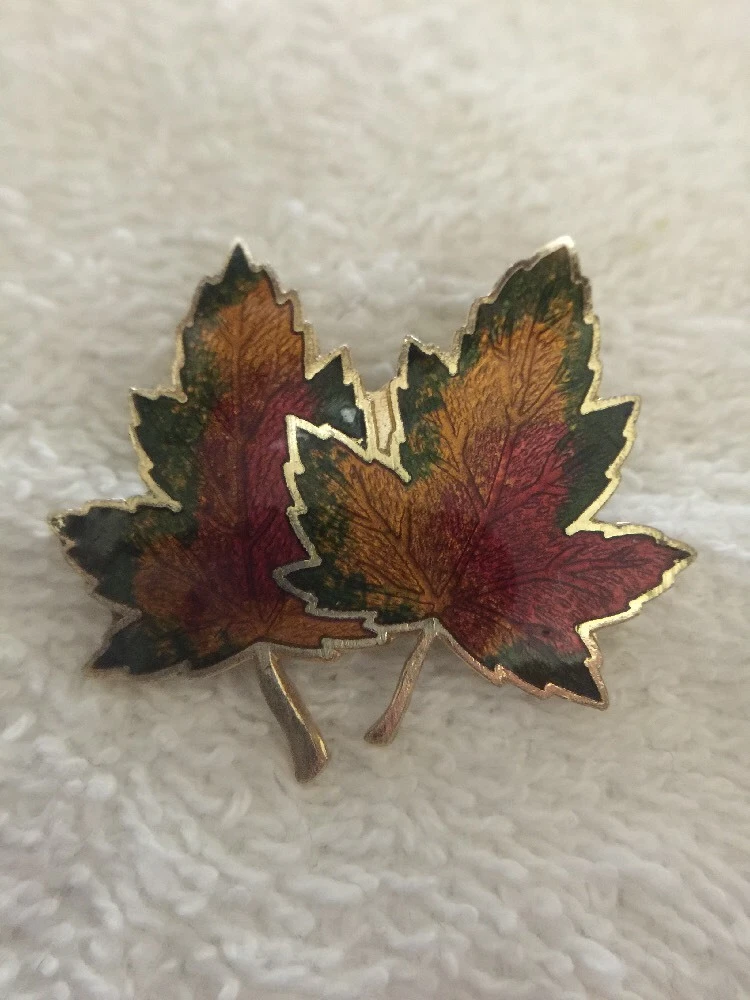 Canadian Maple Tree