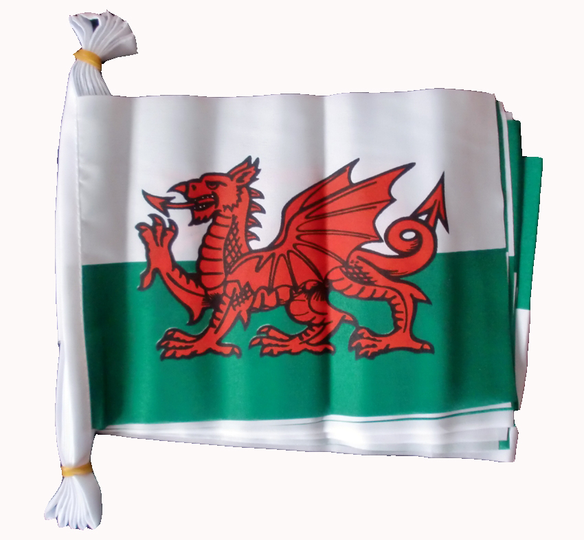 WALES FLAG BUNTING 3m 10 flags CARDIFF RHYL TENBY FLAGS | eBay