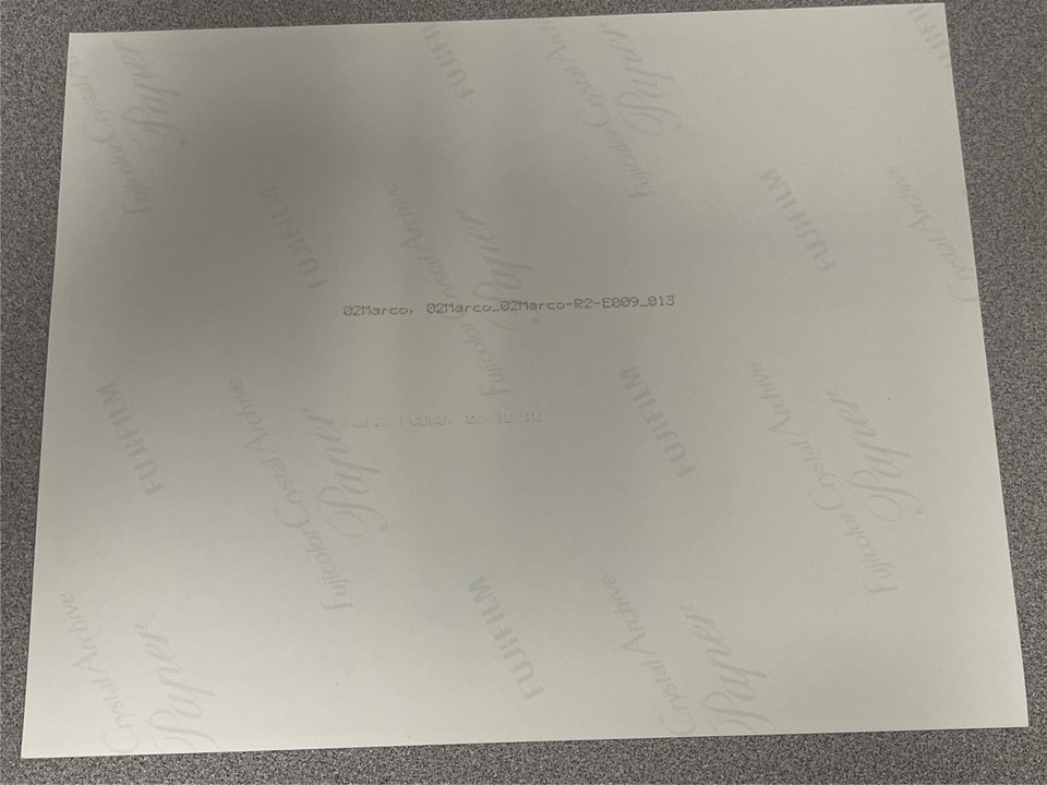 Bodybuilder DON HOWORTH muscle bodybuilding photo | eBay