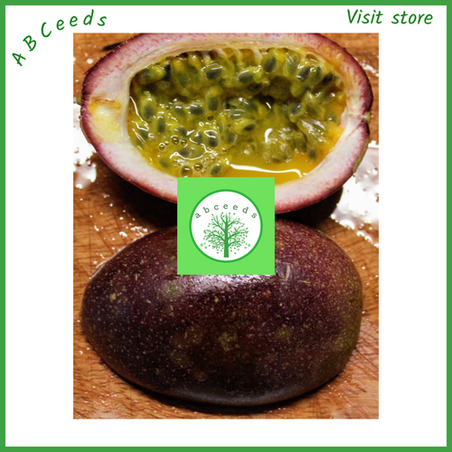 Passionfruit - Large pale red - Passiflora edulis cv pandora - 10 seeds ...