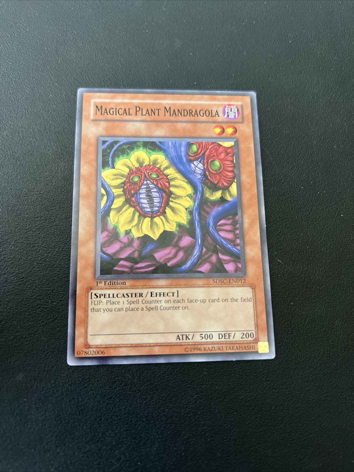 Magical Plant Mandragola