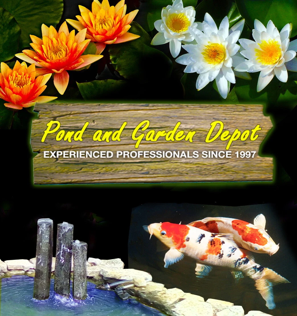 Garden Pond Misters | Fasci Garden