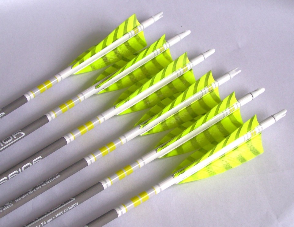 Gold tip warriors arrows for Traditional archery (all barred feathers ...