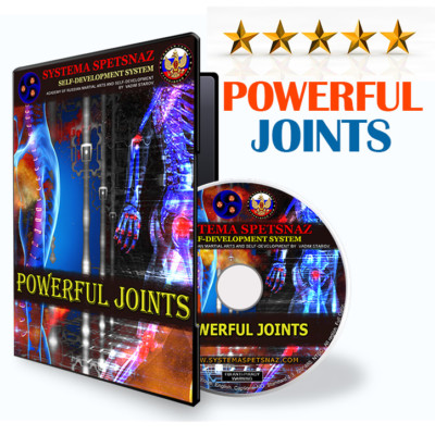 Hand-to-Hand Combat Training DVD - Powerful Joints. Russian Martial ...