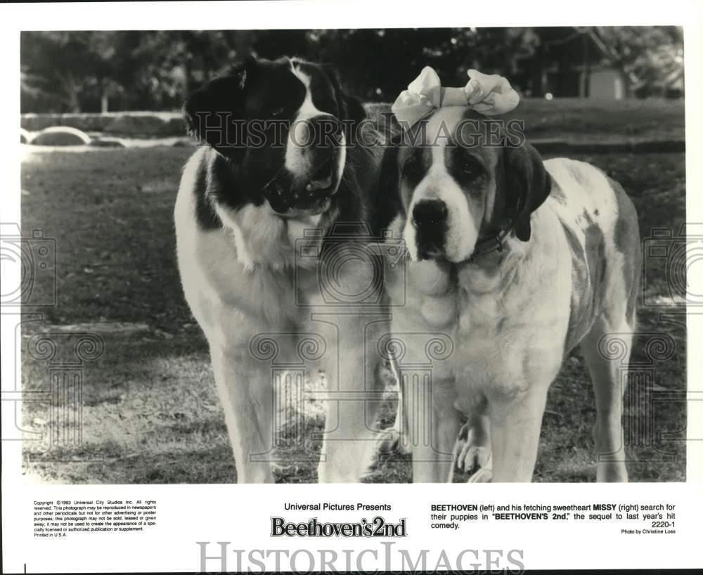 Beethoven Dog Girlfriend