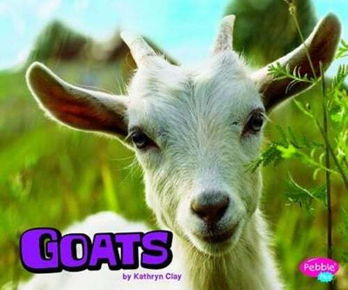 Goats by Kathryn Clay: New 9781429686495| eBay