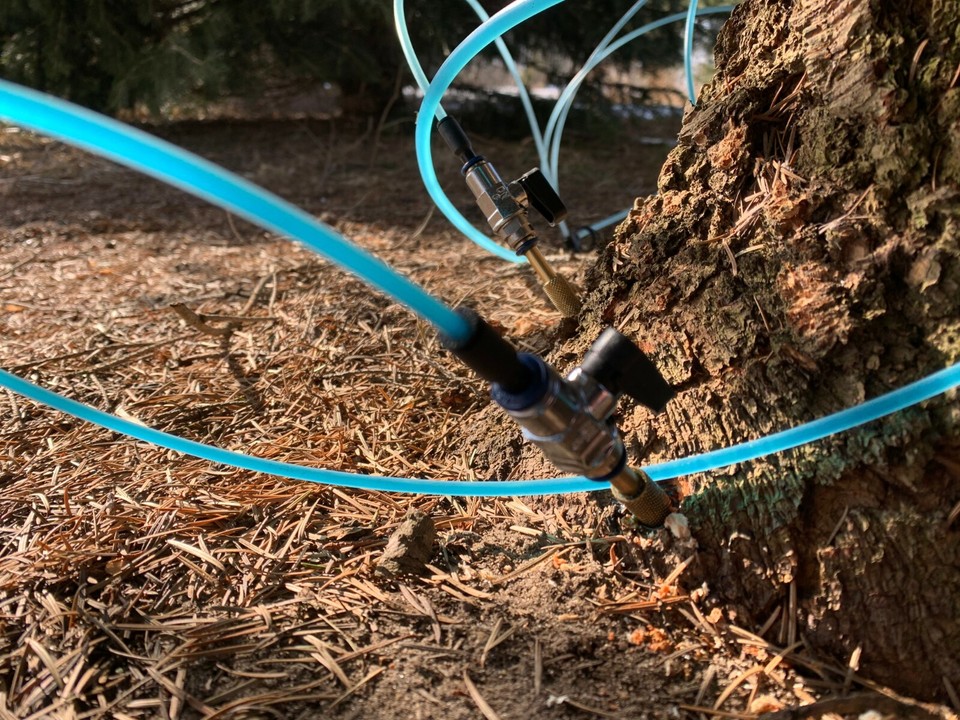 Arborists Tree Injector Tree Defend 2-liter kit w/Brass Valves | eBay