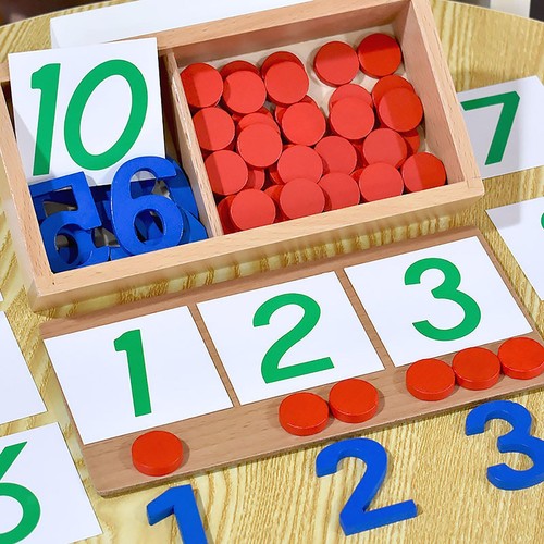 Wooden Montessori Cards Number and Counters Math Manipulatives for ...