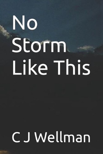 No Storm Like This by C.J. Wellman (English) Paperback Book ...