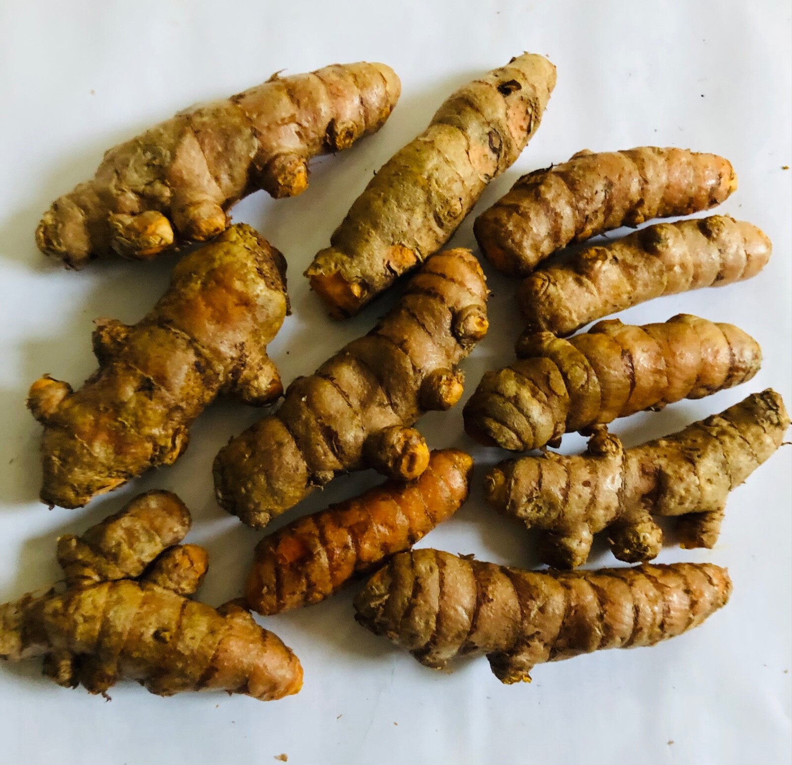 10PCS TUMERIC ROOTS FOR PLANT-CURCUMA LONGA-ARTHRITIS PAIN,MAKE TEA ...