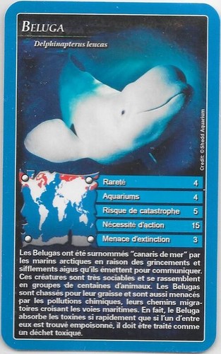 Carte Top Trump - Beluga | eBay