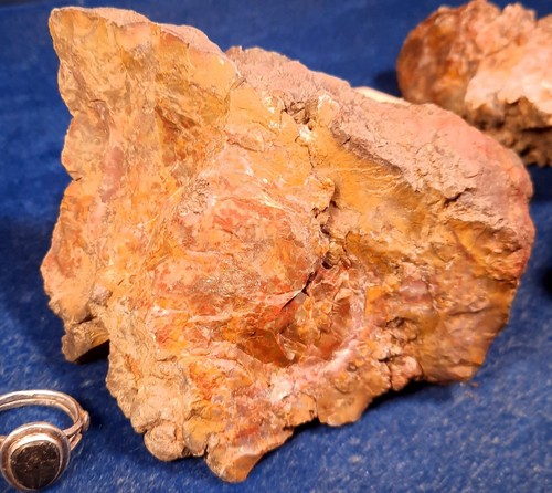 DINOSAUR COPROLITE - WYOMING GEM GRADE - 20+ LB BULK ROUGH MIX - LARGE ...