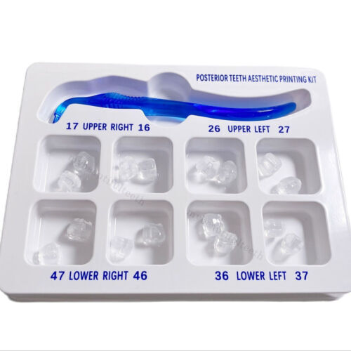 Dental Mould Composite Resin Veneer Anterior Posterior Veneer Molar ...