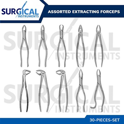 30 New Extracting Forceps Extraction Dental Instruments Stainless ...