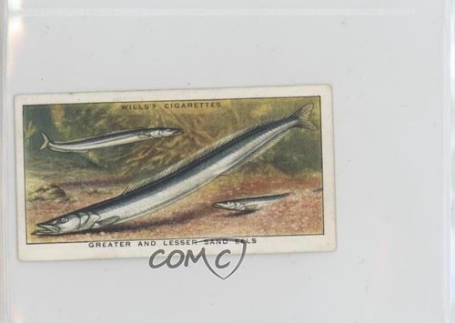 1938 Wills The Sea-Shore Tobacco Greater And Lesser Sand Eels #4 11z5 ...