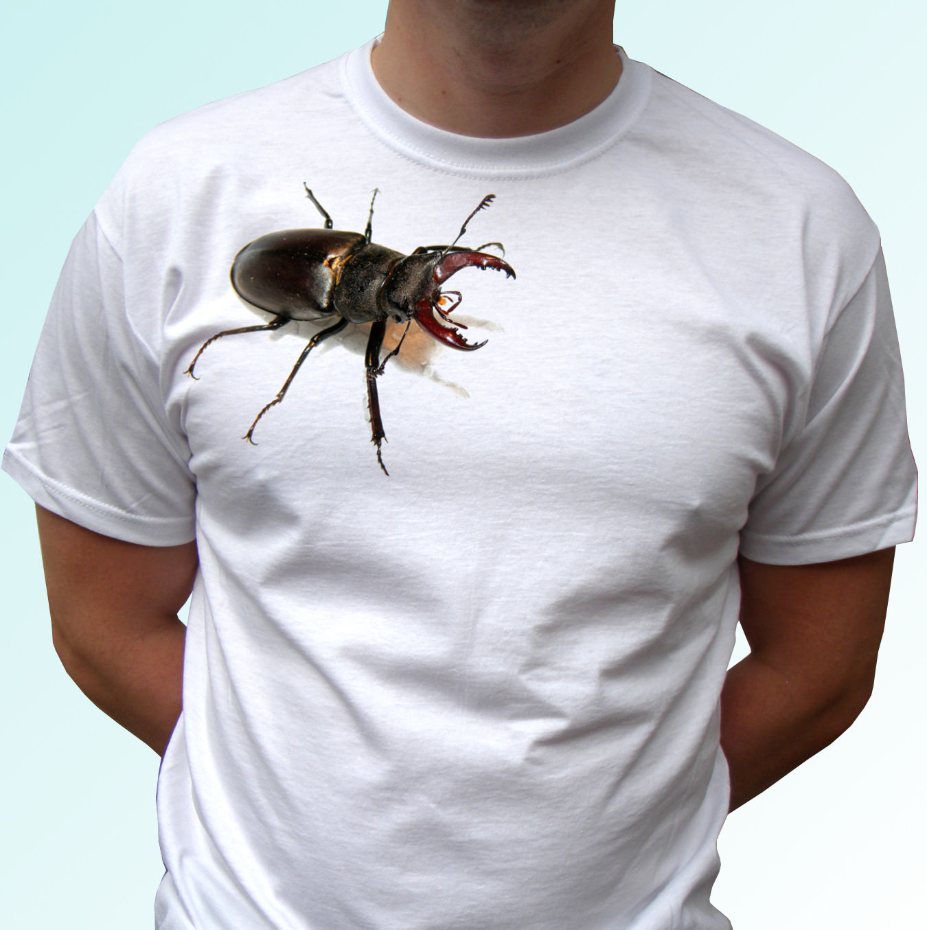 Beetle white t shirt animal tee top insect design mens womens kids baby ...