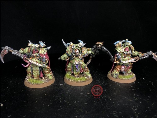 Warhammer 40K DPS painted Death Guard Deathshroud Terminators SK6067 | eBay