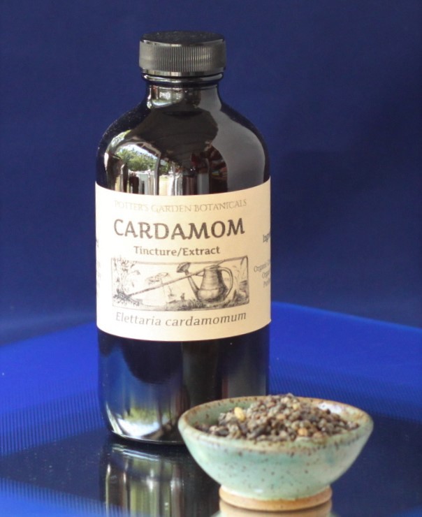 CARDAMOM Tincture Hair Heart Skin Therapeutic Folk Remedy TCM Tincture ...
