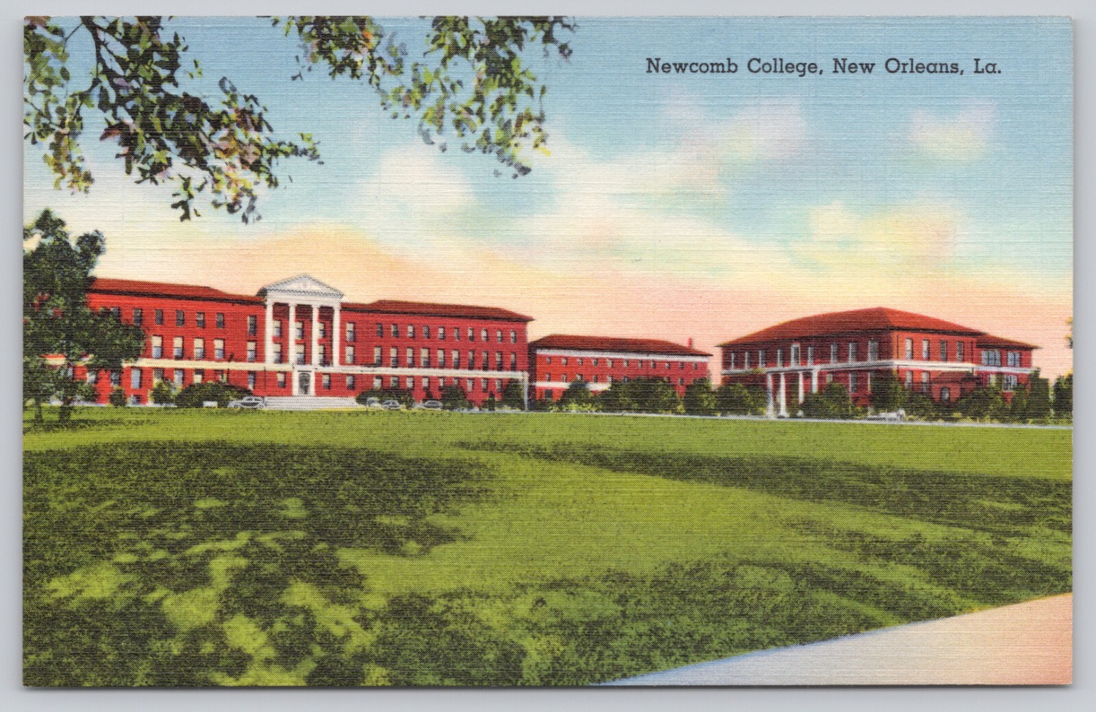 Postcard New Orleans Louisiana Lawn View of Newcomb College | eBay