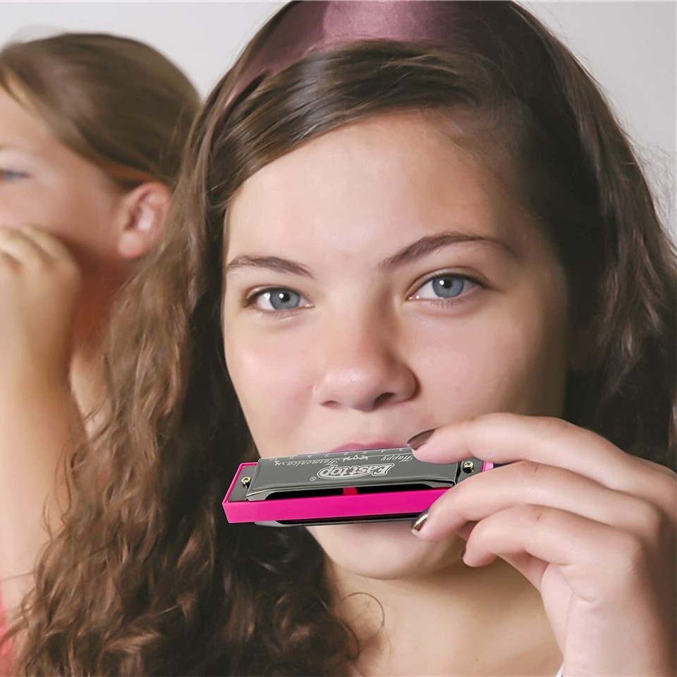 EASTTOP Blues Harmonica Diatonic Harmonica Key of C 10Holes 20Tones Mouth Organ | eBay