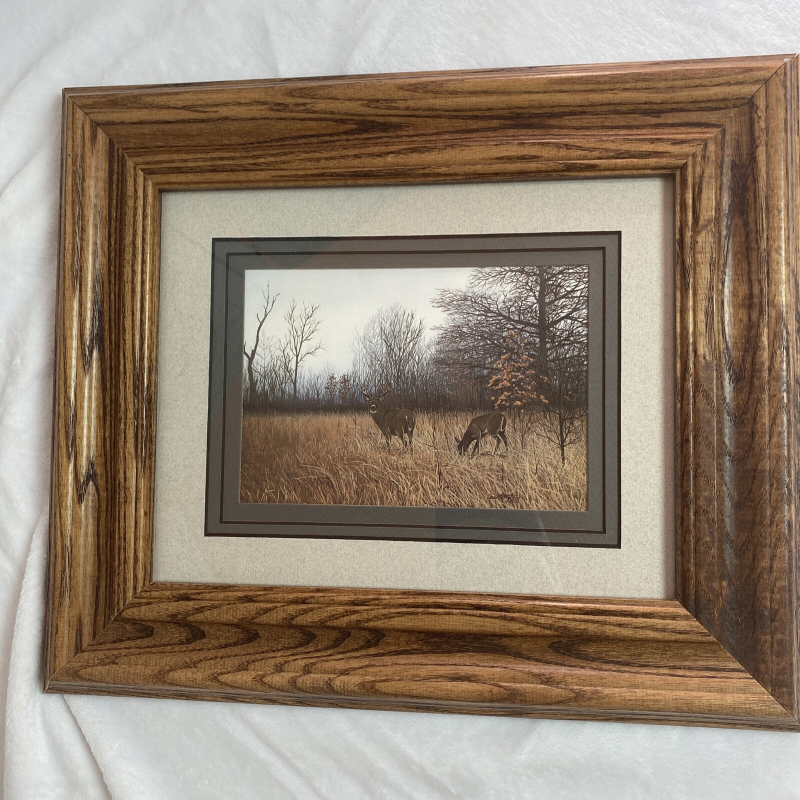 David Rottinghaus framed deer print Buck & Doe Grazing Rustic Cabin ...