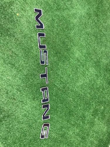 REAR BUMPER LETTERS INSERTS 1999-2004 MUSTANG OR MUSTANG GT MYSTIC AND ...