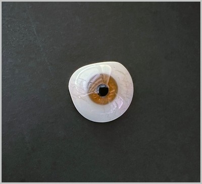 Optical - Prosthetic Glass Eye
