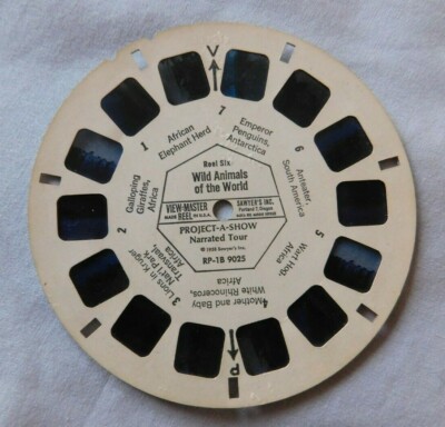 1958 View Master - Wild Animals Of The World - Reel 6 - RP-1B 9025 | eBay