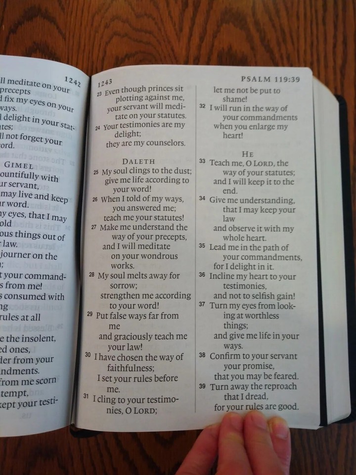 ESV SUPER GIANT Print Bible Black genuine leather ©2001~ 17 point font ...