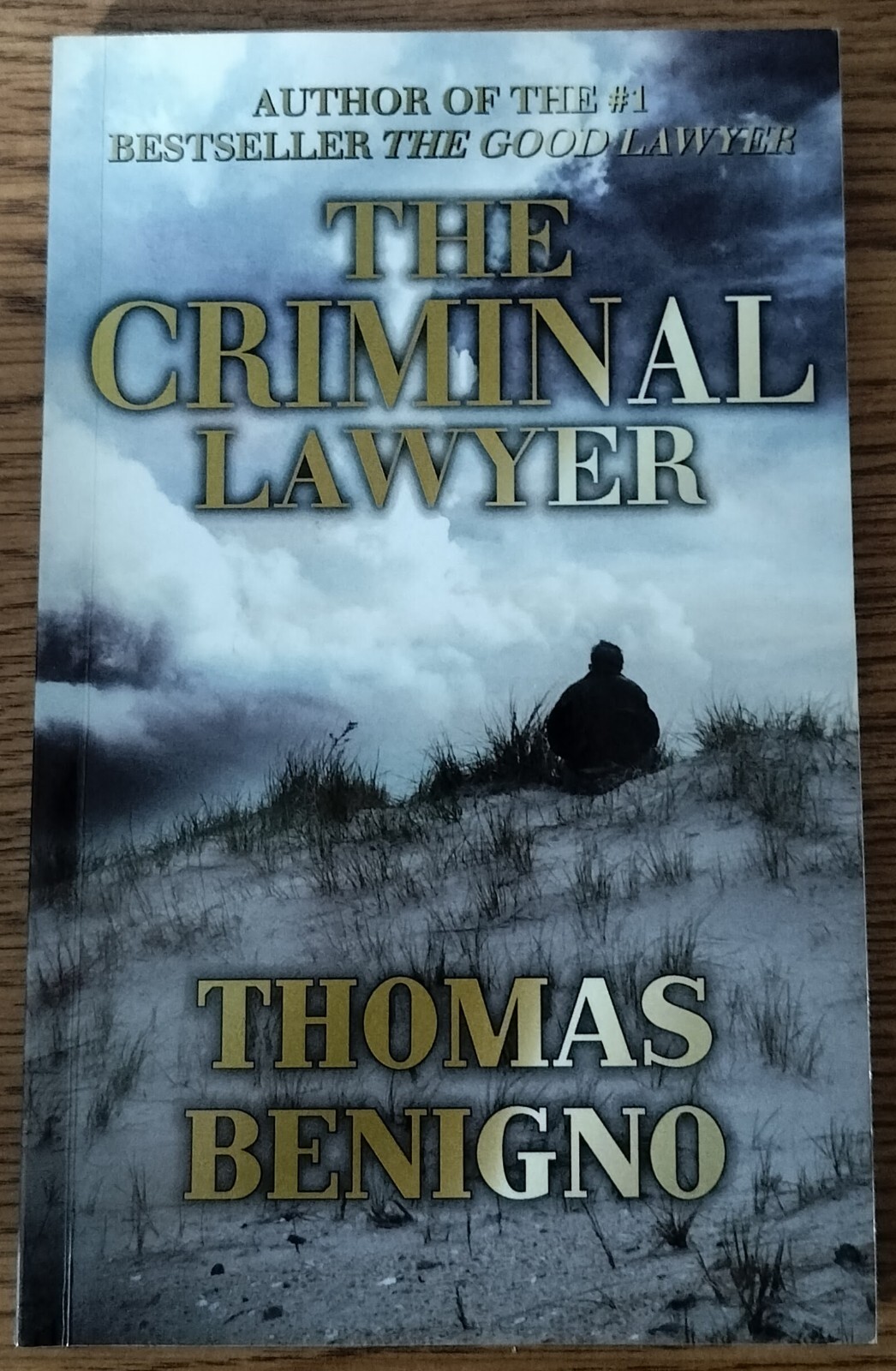 Thomas Benigno - The Criminal Lawyer book - Good Lawyer Softcover ...