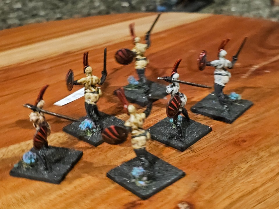Cool Mini or Not Wrath of Kings House Nasier Pelegarth Warriors Painted ...