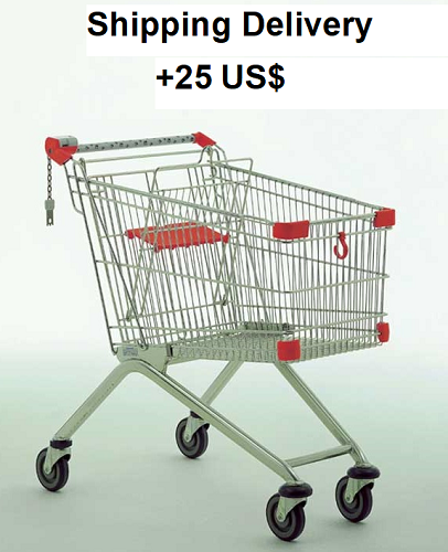 Special Shipping Conditions for Countries with Special Shipping Terms ...