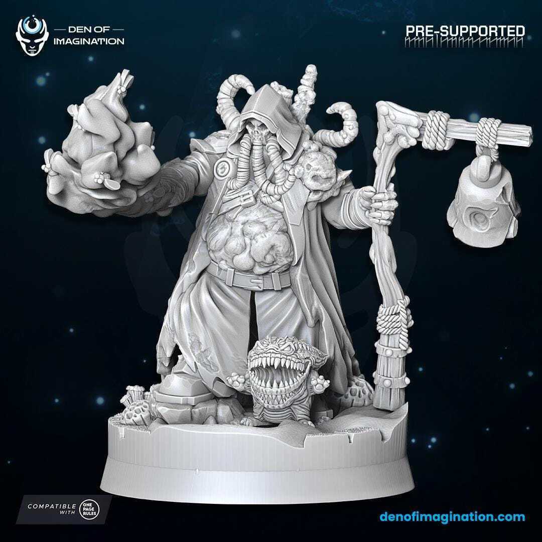 Plague Sorcerer - Chaos | Den of Imagination | Grimdark Compatible - Nerd3DForge | eBay