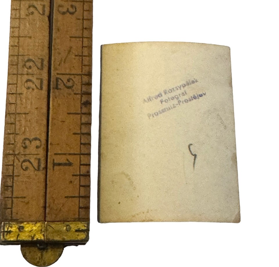 WW2 Era Photo German Soldier Playing Accordion Alfred Rozsypalek ...