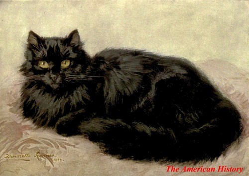 3688 Ronner-Knip, Henriette (1821-1909) - The Book of the Cat 1903 ...