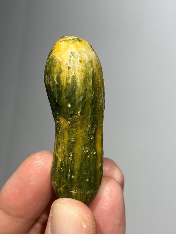 Early Italian Alabaster Stone Alabaster Miniature Cucumber Pickle ...