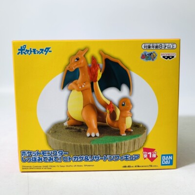 Pokemon Charmander Charizard Watch my tale! Figure Banpresto New ...