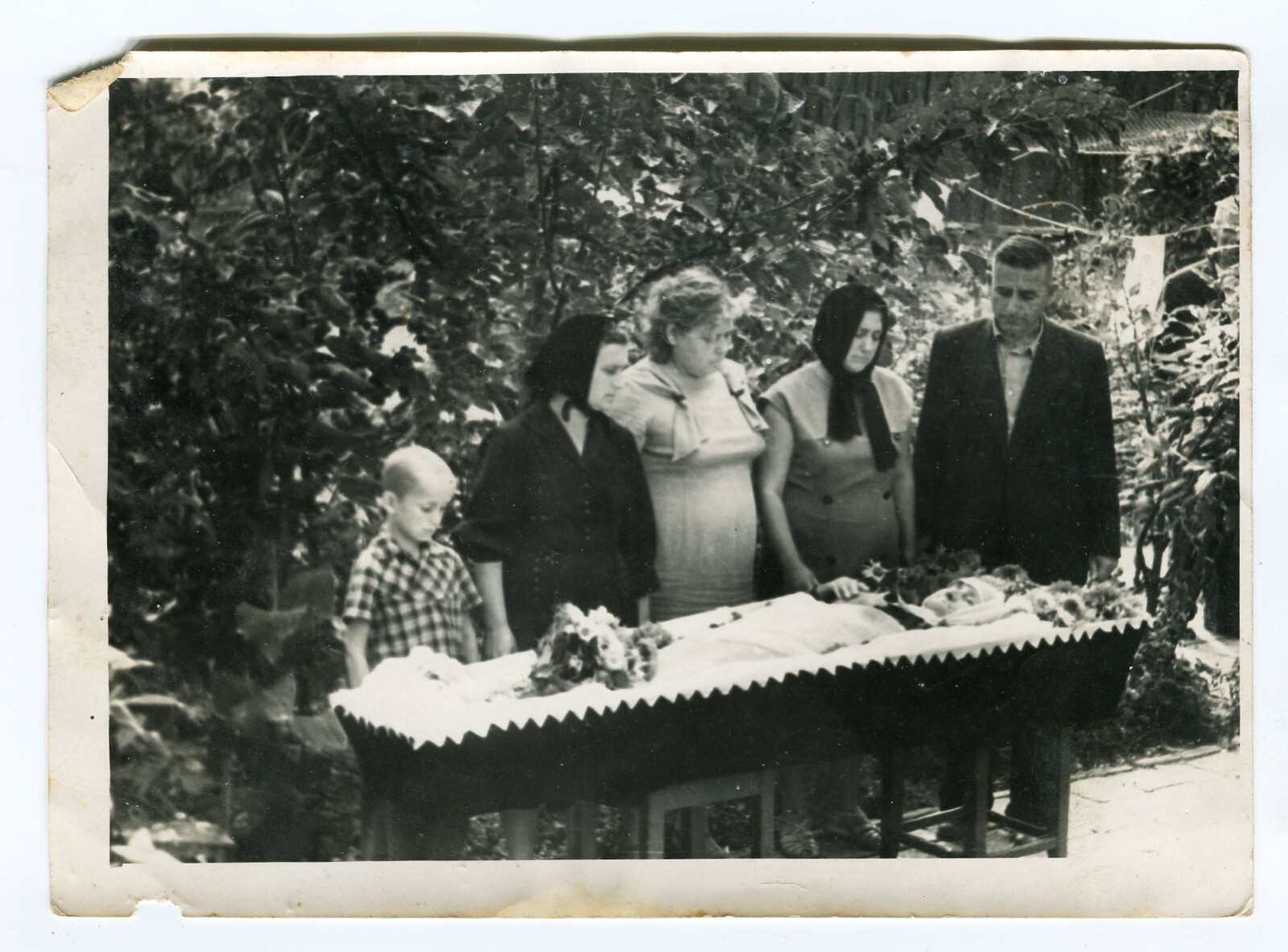 Woman post mortem funeral mourning family children vintage photo | eBay