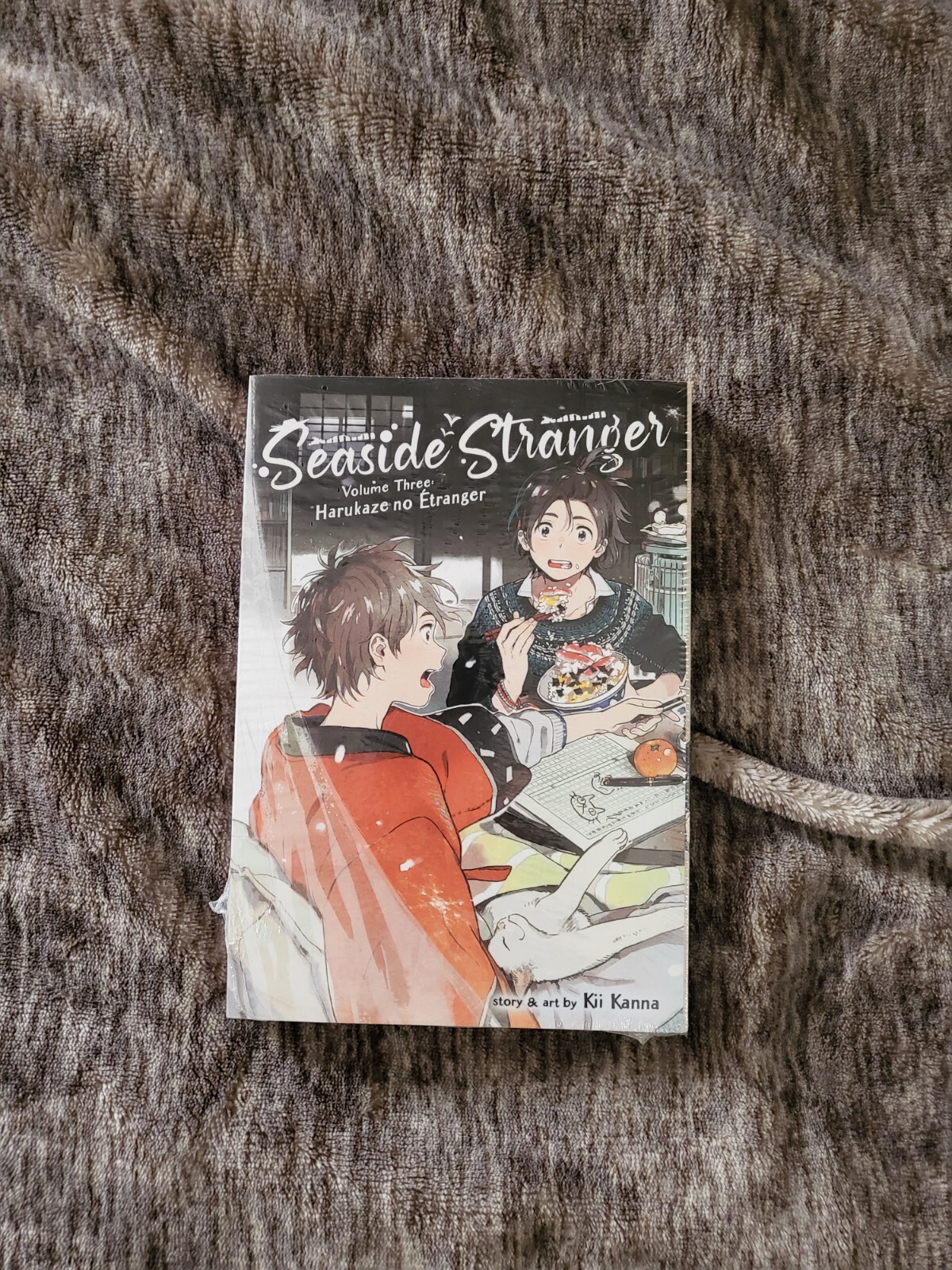 Seaside stranger Kana Kii Manga English | eBay