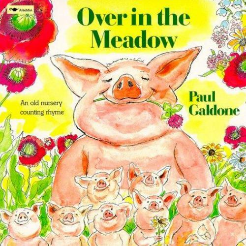 Over in the Meadow: An Old Nursery Counting Rhyme by Galdone, Paul ...
