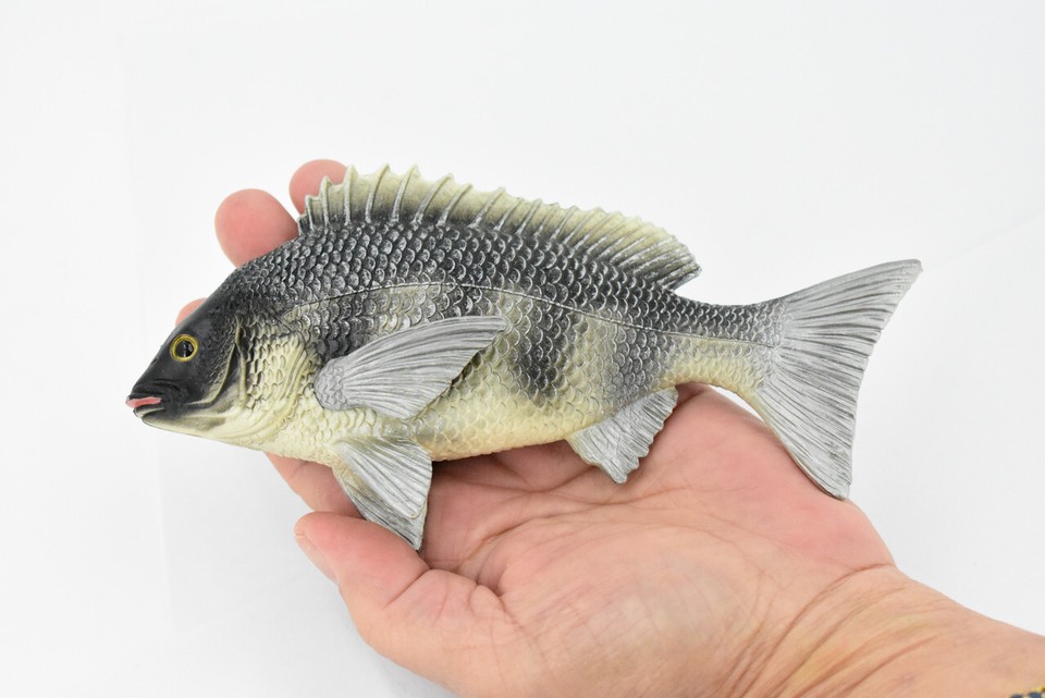 Fish, Tilapia, Nile Perch, Realistic Toy Figure, Model, Replica, 7 ...